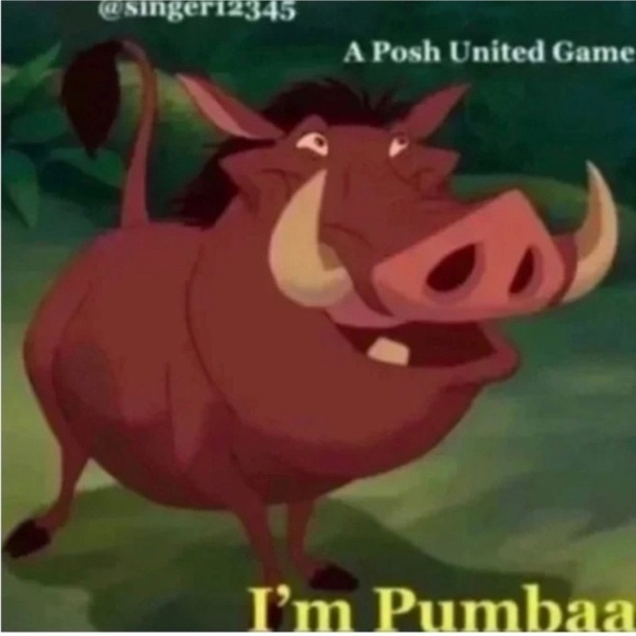 Accessories | Im Picked As Pumbaa | Poshmark